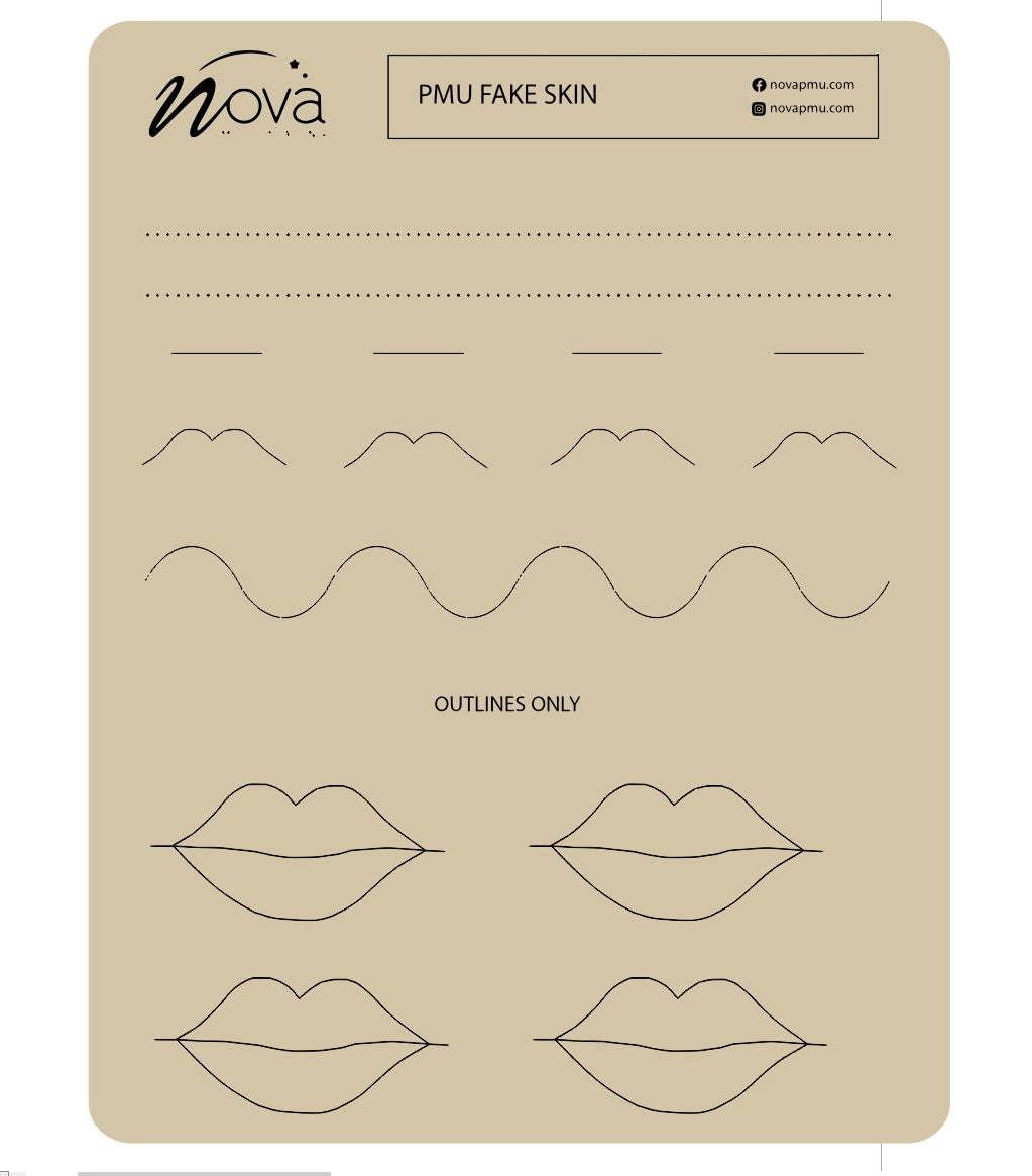 Microblading PMU Practice Skin for Lip Blush - The Path to Perfection ...